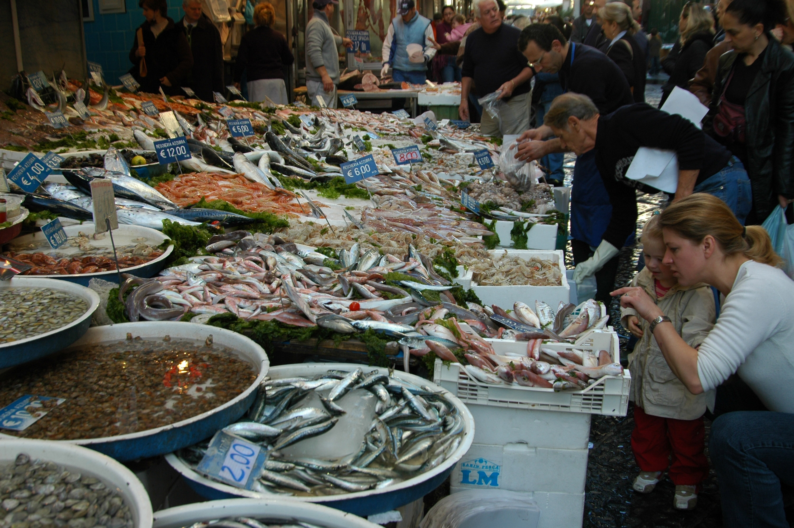 New WWF report: most of the fish we eat in the Mediterranean is ...
