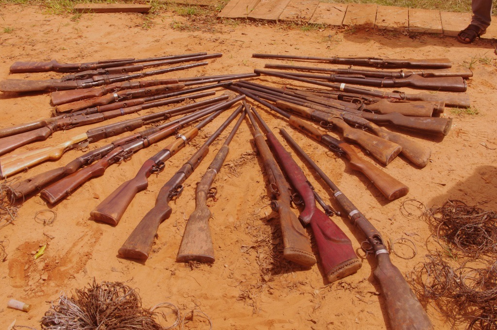 Twenty wildlife criminals arrested in Cameroon | WWF