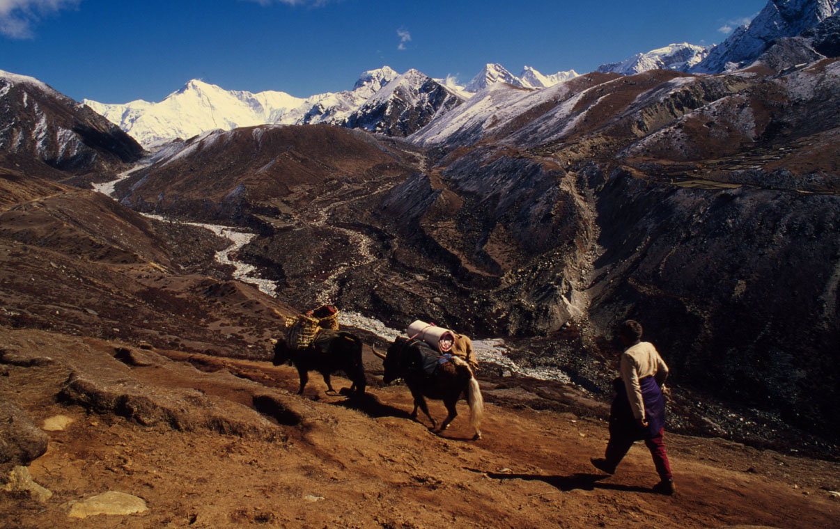 Climate Witness: Ang Tshering Sherpa, Nepal | WWF
