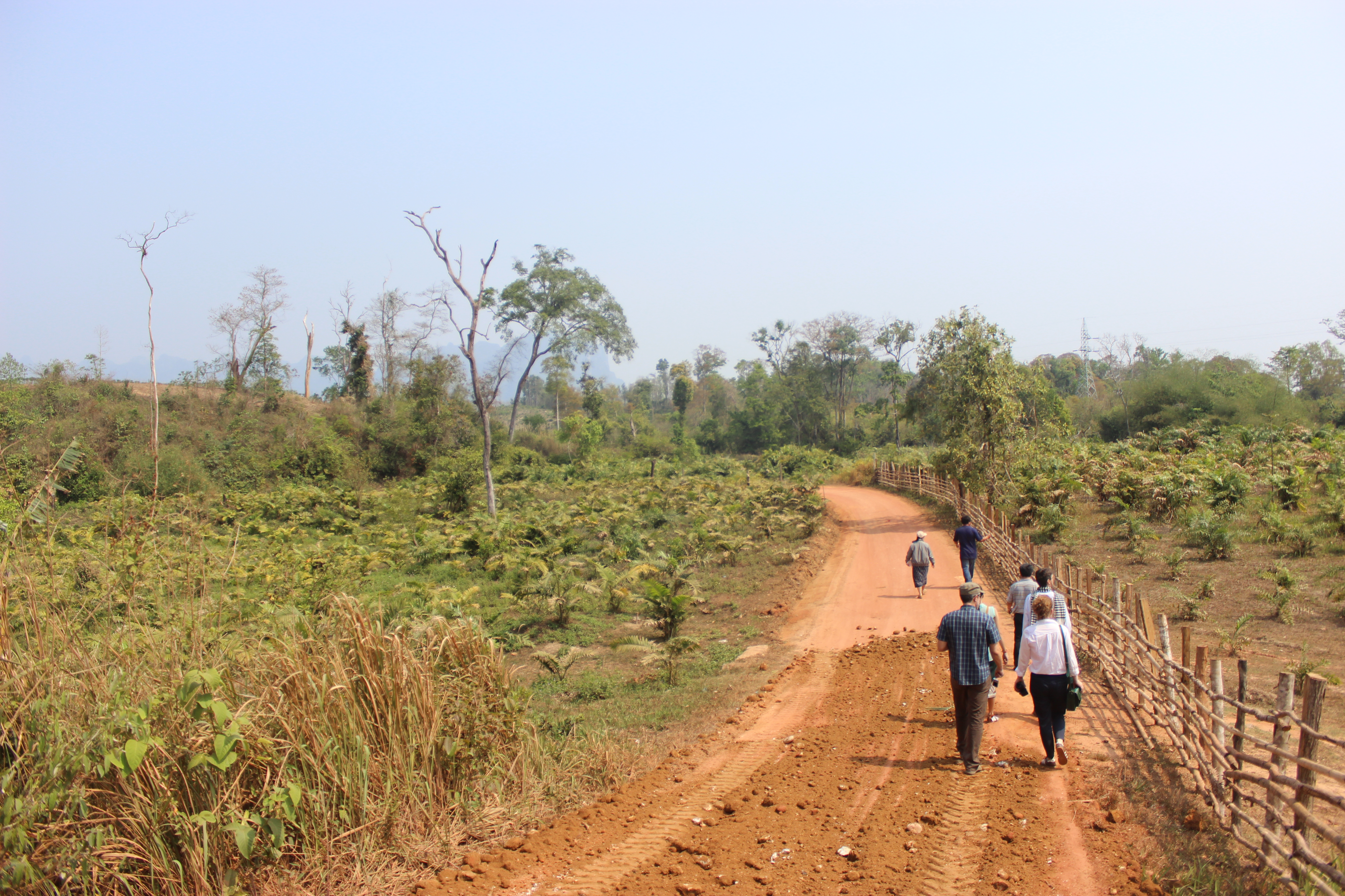 News in Brief: Earth Hour, Power Sector Vision, Sustainable Rattan, New ...