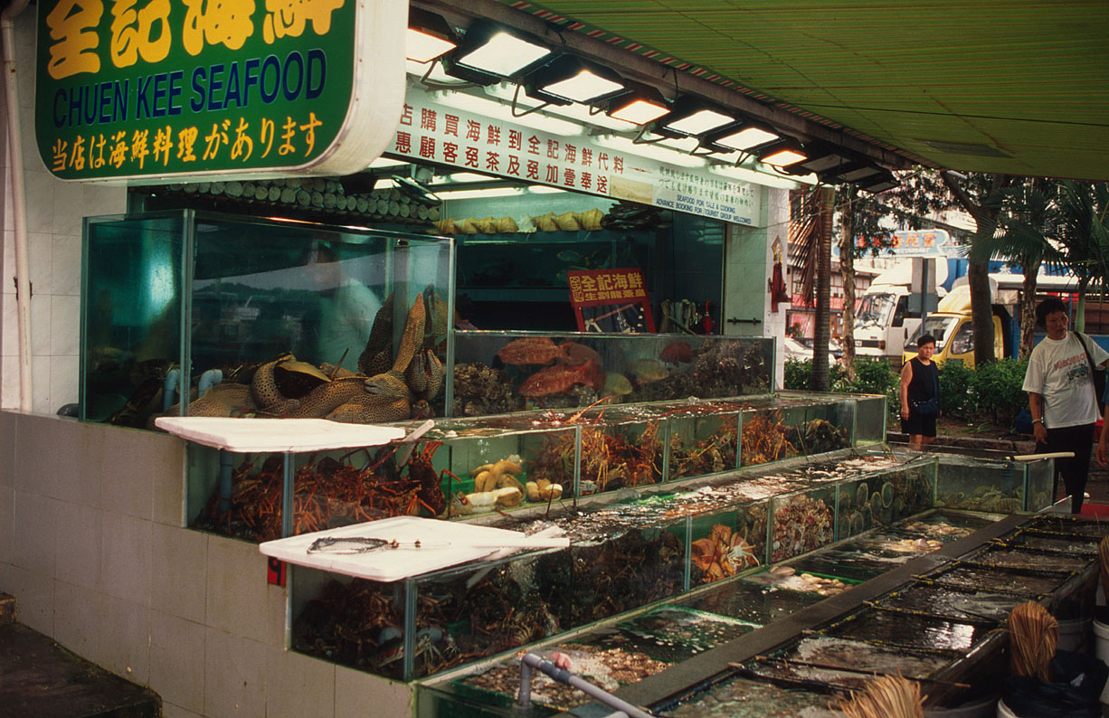 Chinese police turn coral conservationists | WWF