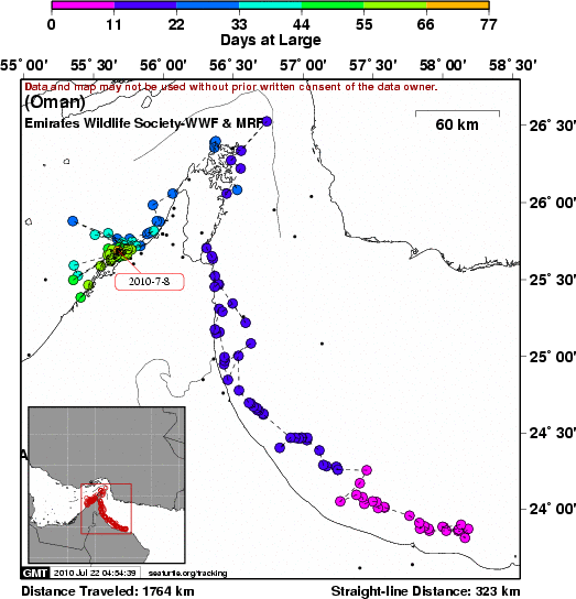 Preliminary Results from EWS-WWF Turtle Tagging project raises new ...