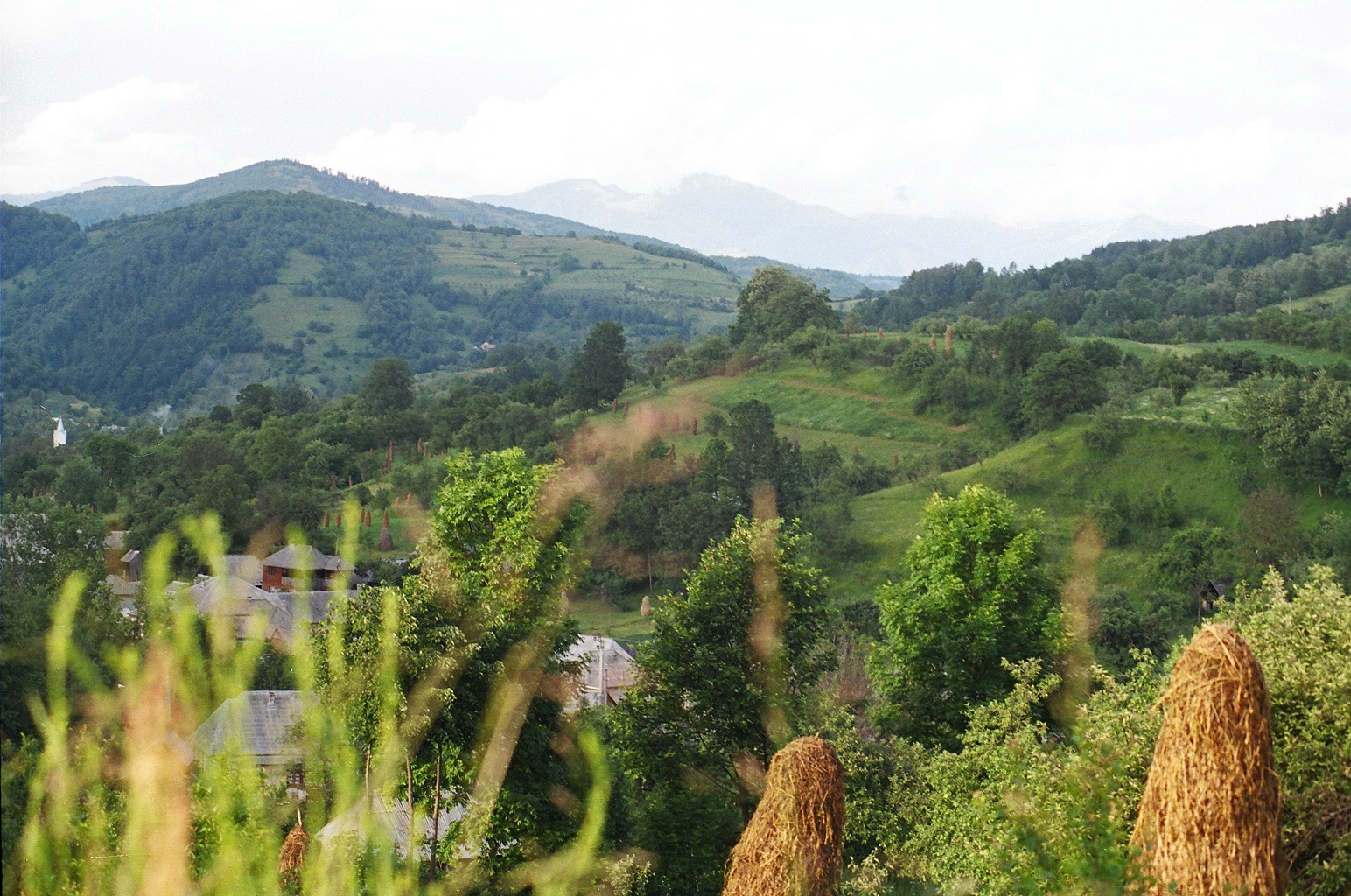 Baia Mare: Five Years After the Cyanide Spill | WWF