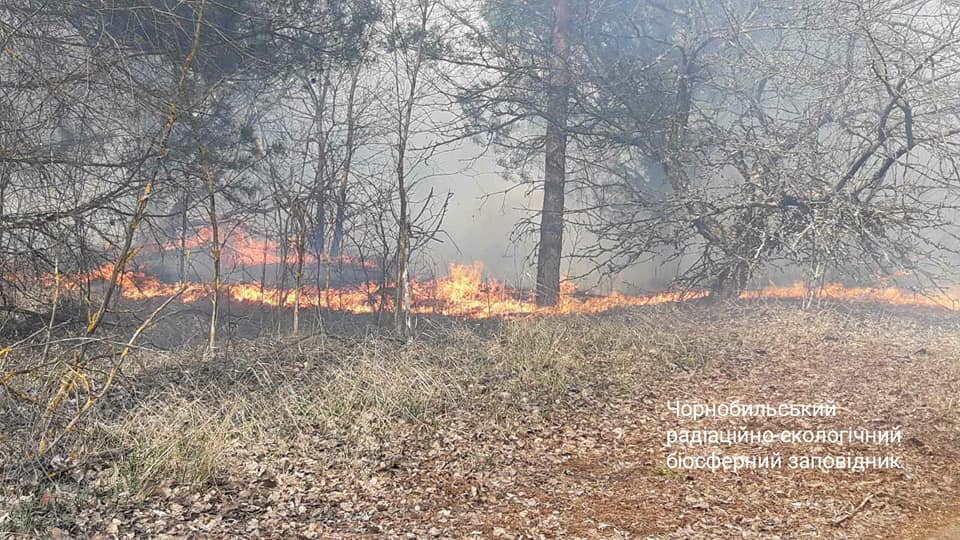 Ukraine in Flames, and Chernobyl in the Path of Destruction | WWF