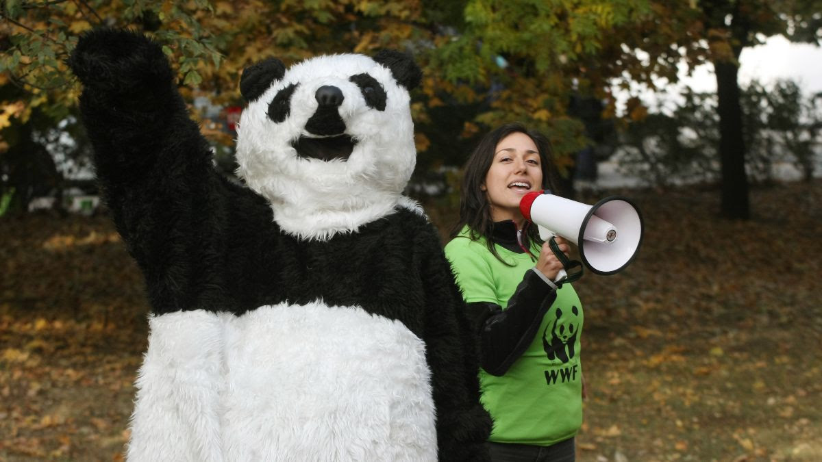 WWF събира отново отбора на Пандата за Софийския маратон | WWF