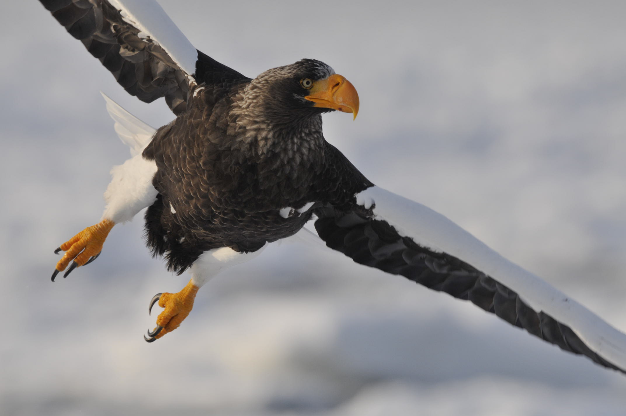 Climate Witness: Kenji Ito, Japan | WWF