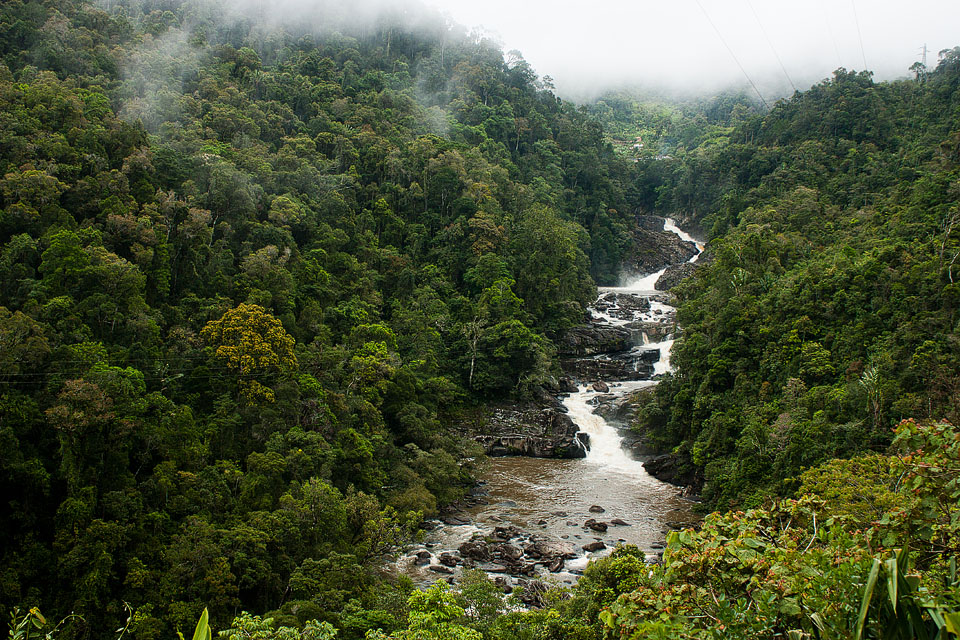 COFAV … To the twenty years to come ! | WWF