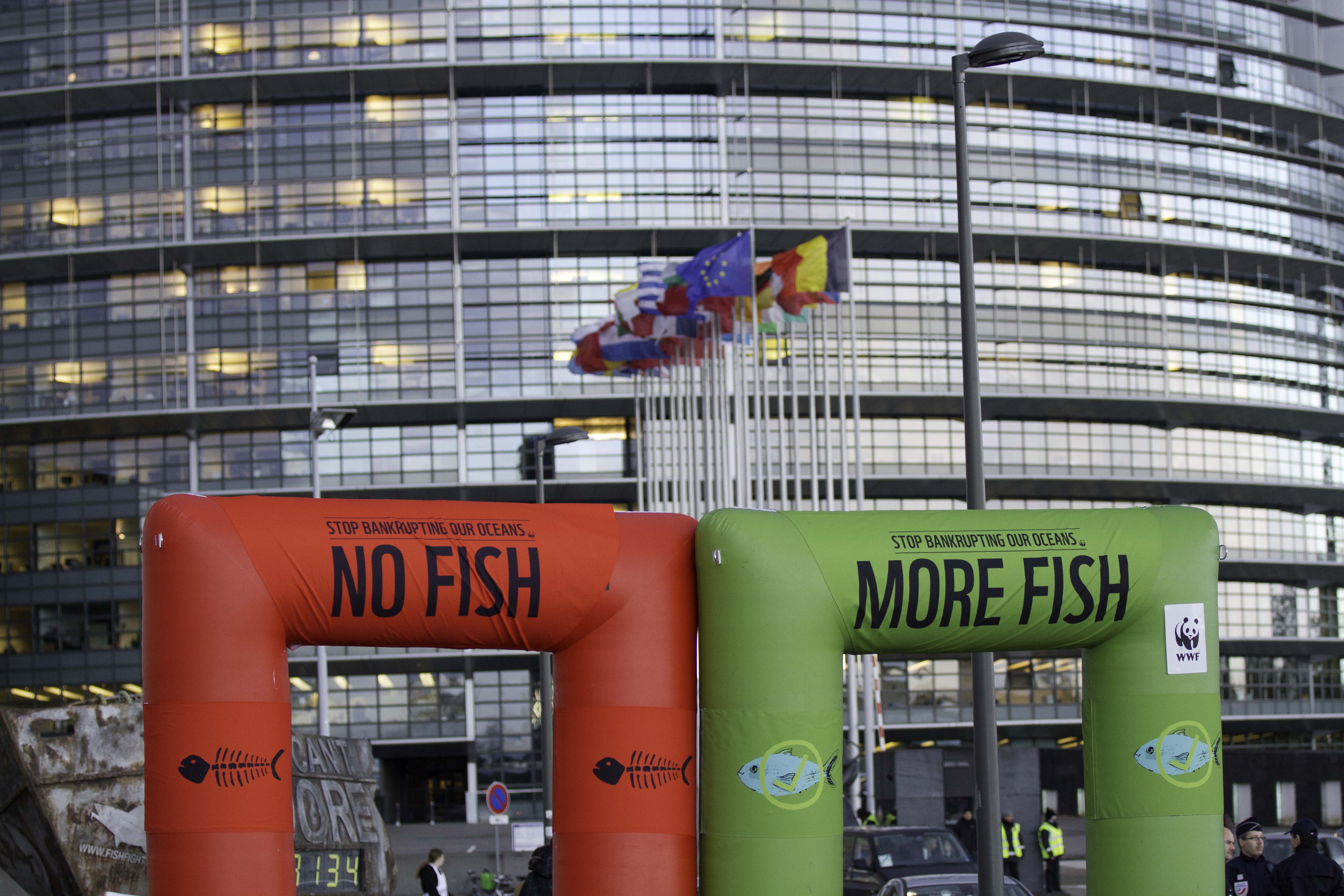 Stop bankrupting our oceans: citizens, fishermen and industry call on ...