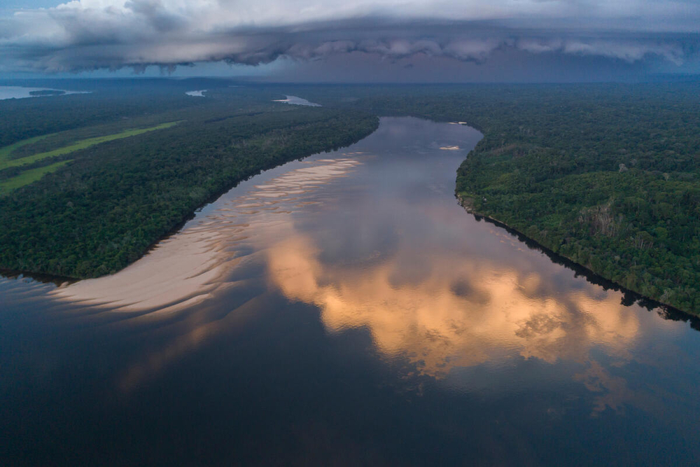 WWF celebrates Sir David Attenborough’s outstanding contributions to ...