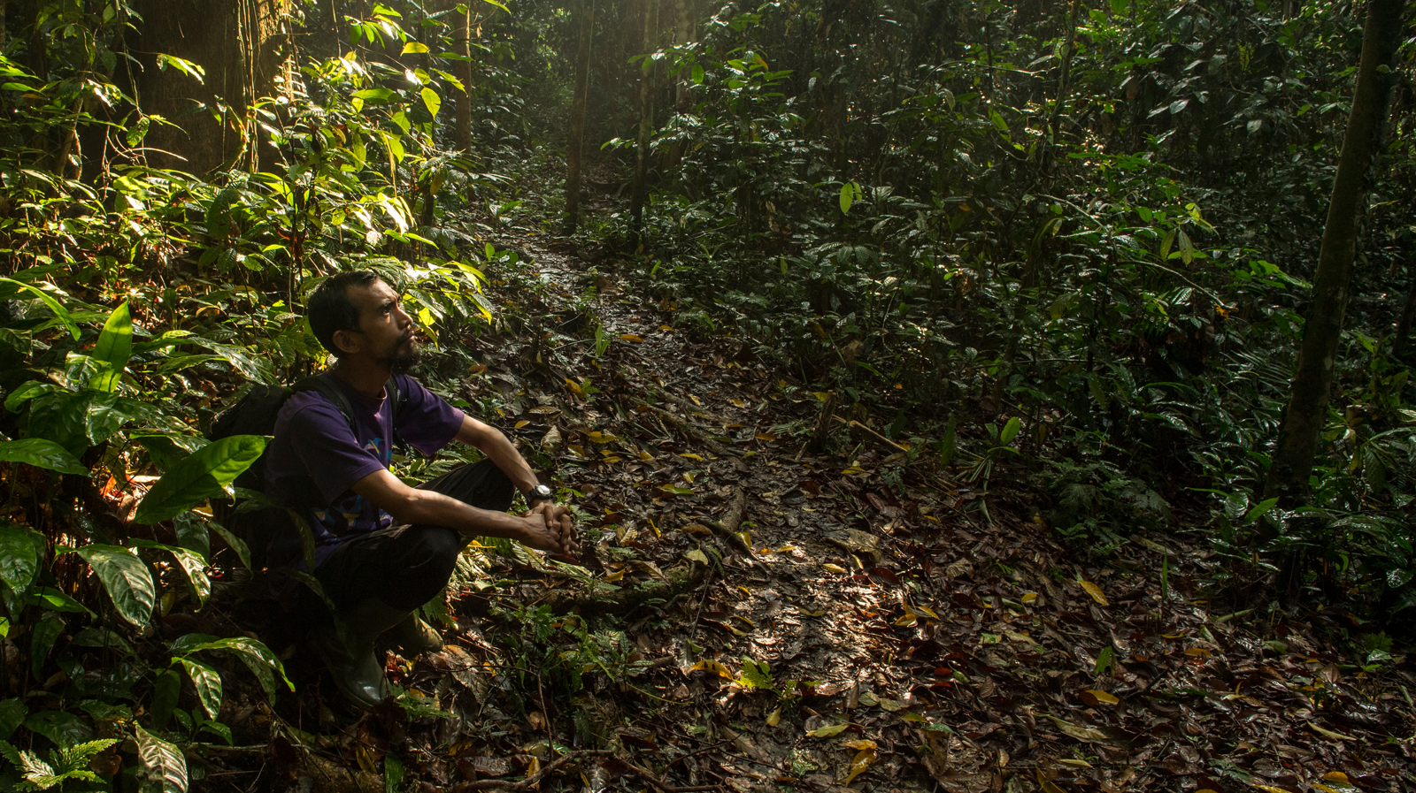 Forests Practice | WWF