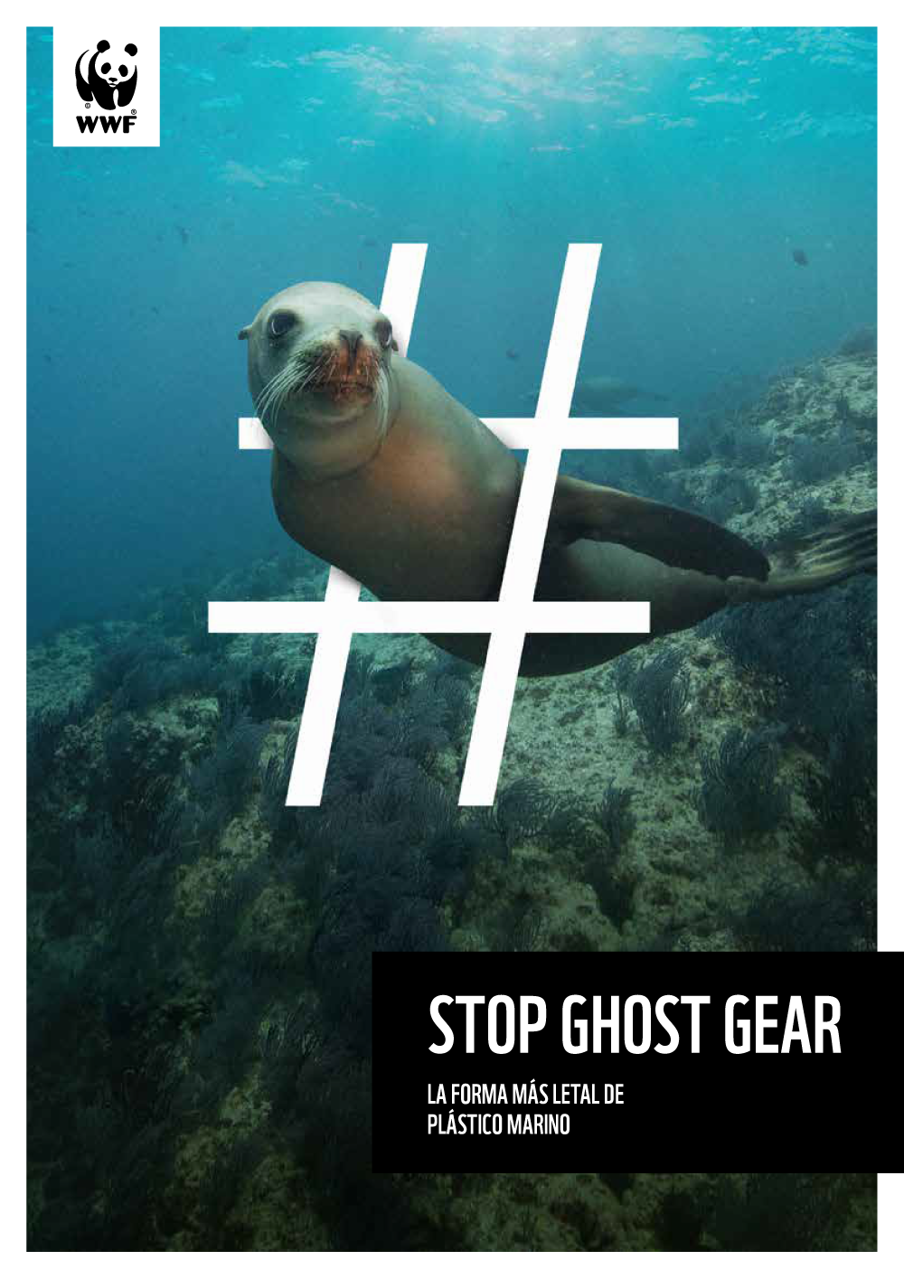 No más redes fantasmas | WWF