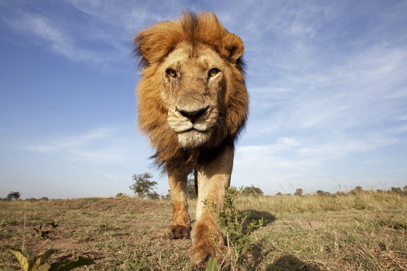 Asia shows the way in protecting Earth's natural systems as global ...