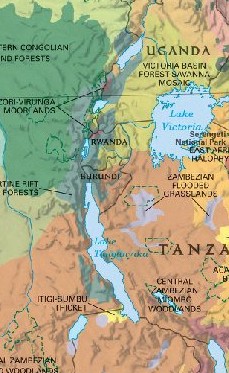 Albertine Rift Montane Forests Ecoregion Programme Jan04 | WWF