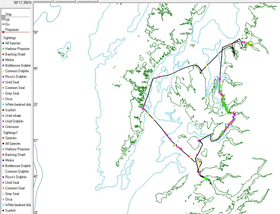 Whales and warships off Scotland | WWF
