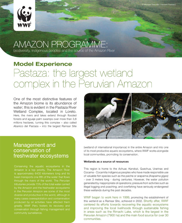 Pastaza: the largest wetland complex in the Peruvian Amazon | WWF