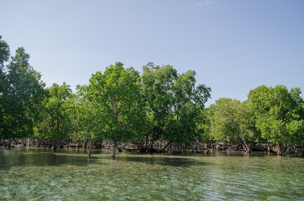 Madagascar invests in green infrastructures to ensure its sustainable ...