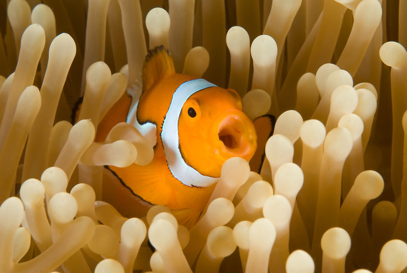New evidence on sea levels and fish behaviour underlines urgency of ...