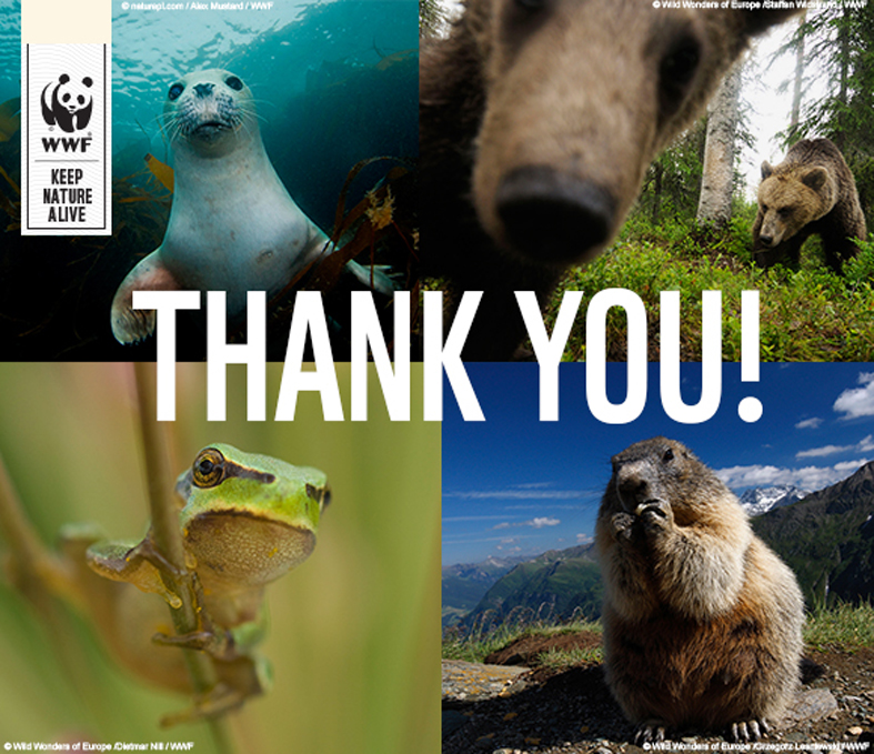 Huge majority of EU Parliament votes for nature | WWF