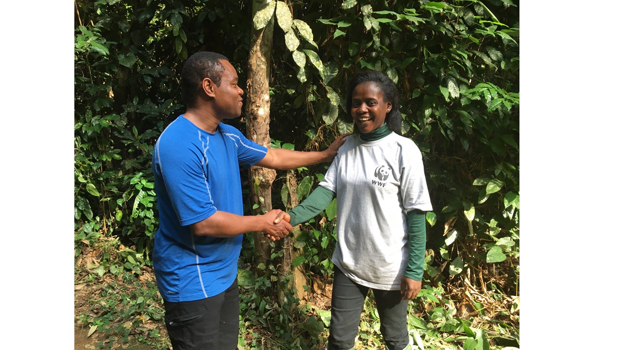 A new website for WWF Cameroon goes Live! | WWF