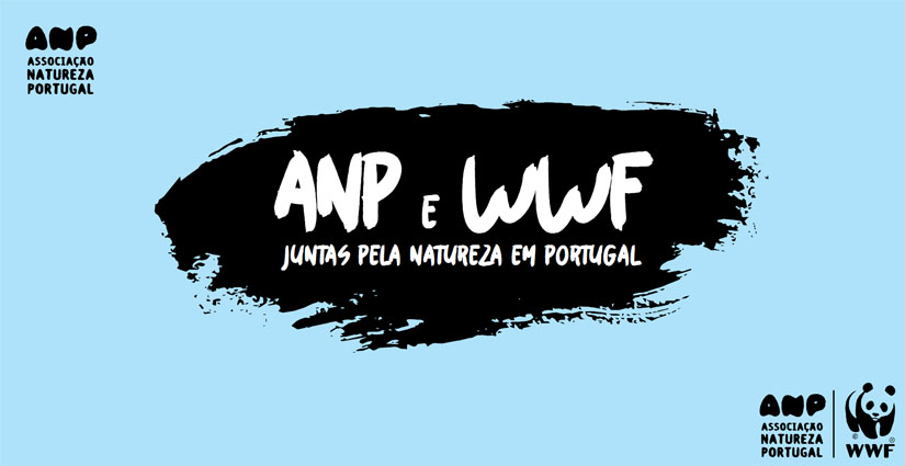 ANP and WWF join forces for nature in Portugal | WWF