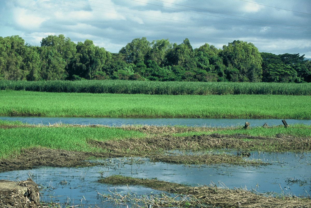 Water planning in Australia fails internationally - recognised wetlands ...