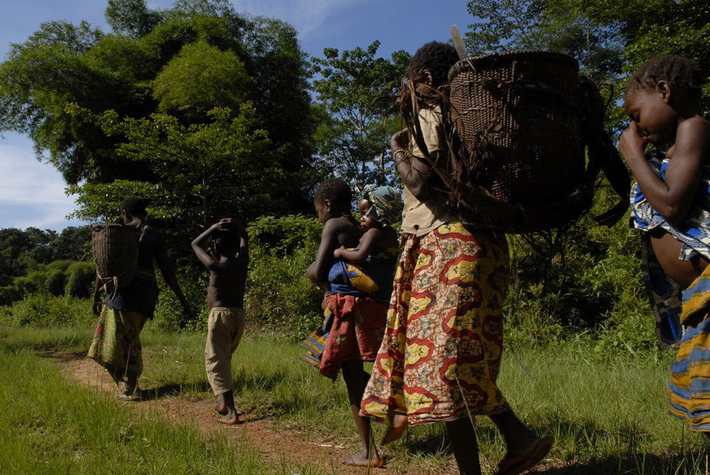 Cameroon: Why a piece of paper is trailing new hope among indigenous ...