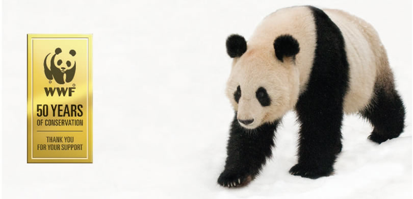 Emirates Wildlife Society in association with WWF celebrates the WWF’s ...