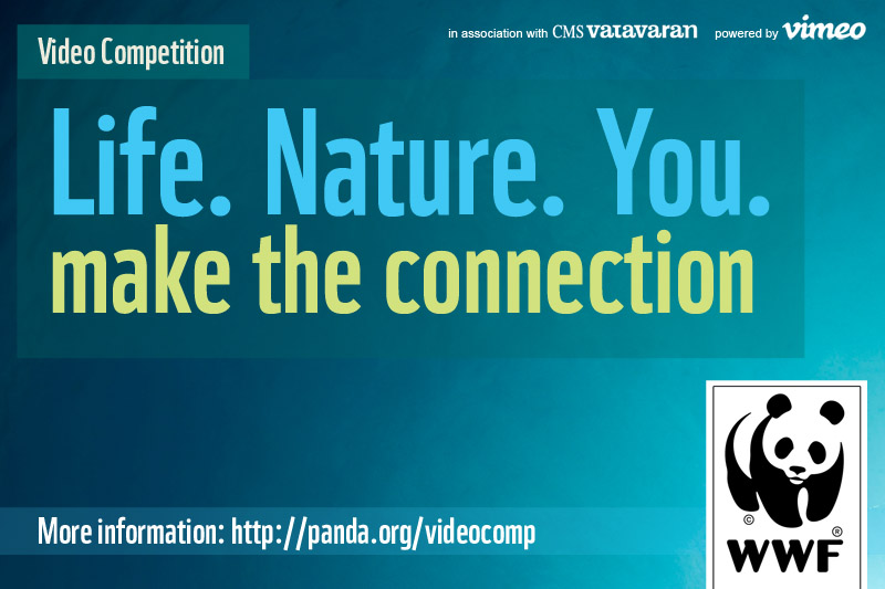 Inspirational filmmakers connect with nature for WWF | WWF