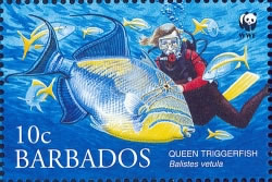 WWF stamp collection helps conservation | WWF