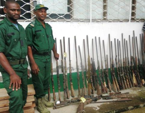 Seized poachers’ guns handed to Cameroon wildlife authorities | WWF