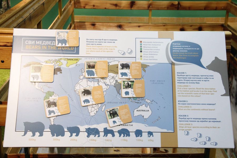 “Bear Corner” Opened in Tara National Park, Serbia | WWF