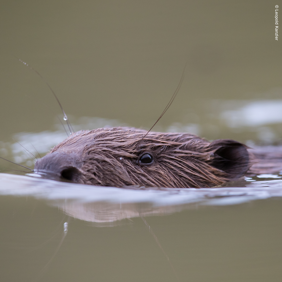5500+ Scientists call on European Commission to Defend the EU Water Law ...
