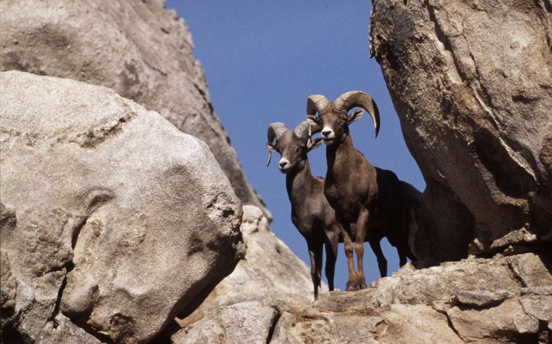 Making a difference in Mexico | WWF