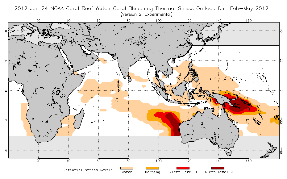 A Hot Future for Corals in the Coral Triangle | WWF