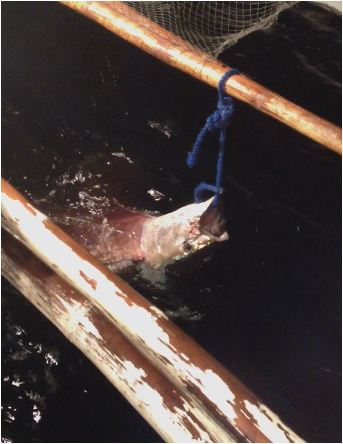 Of Full Moons and Changing Mindsets | WWF