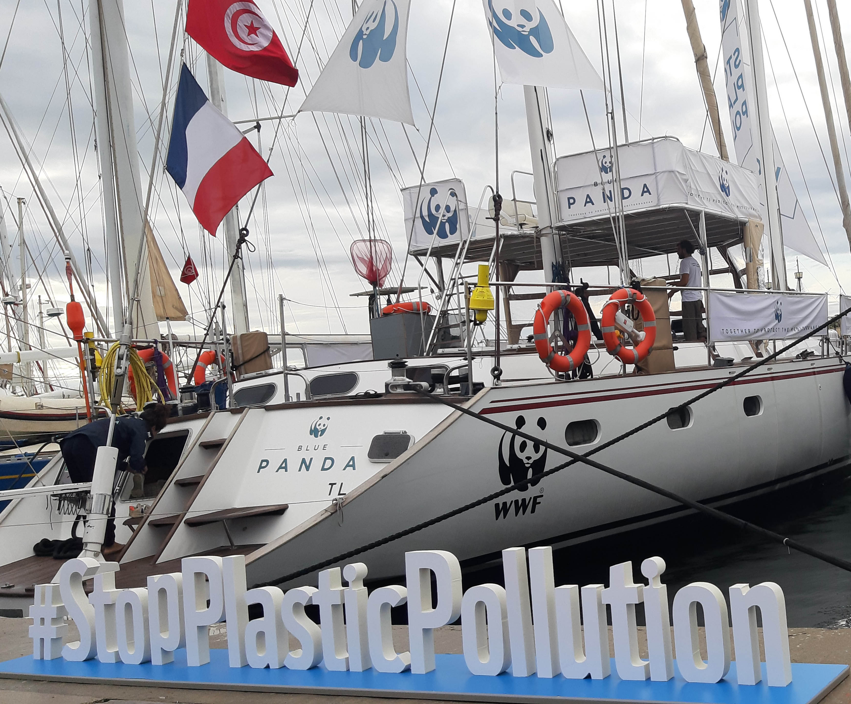 The Blue Panda reached the south of the Mediterranean | WWF