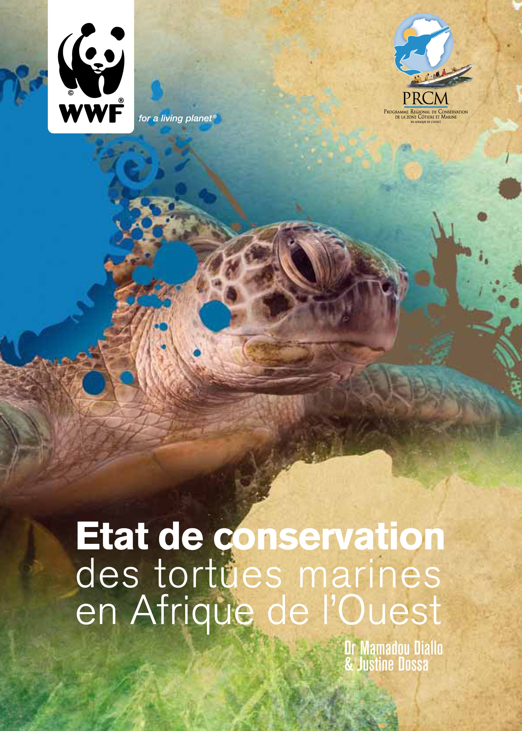 BOOKLET ON THE STATE OF CONSERVATION OF MARINE TURTLES IN WEST AFRICA | WWF