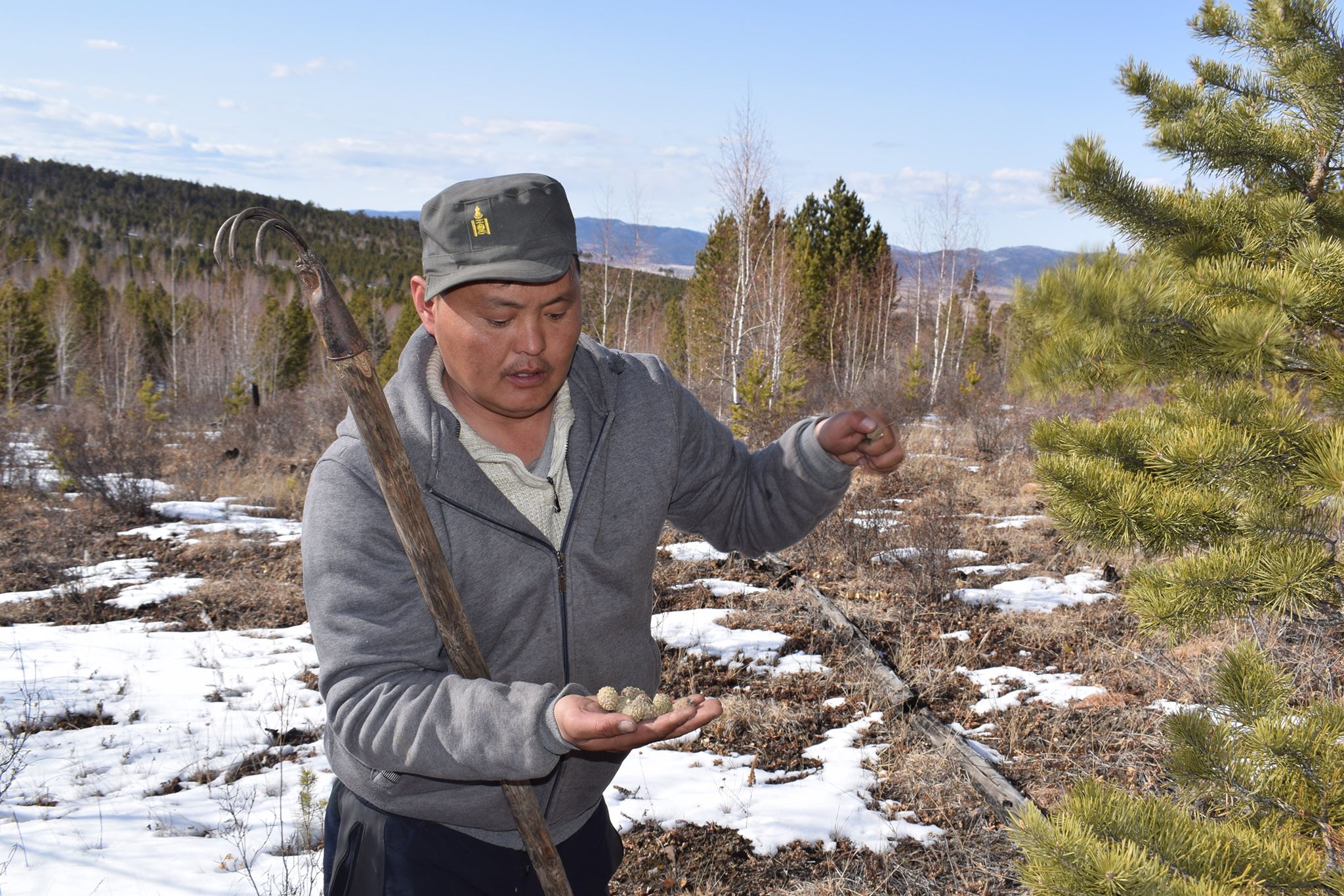 The administration staff from Onon-Balj National Park collected 500 kg ...