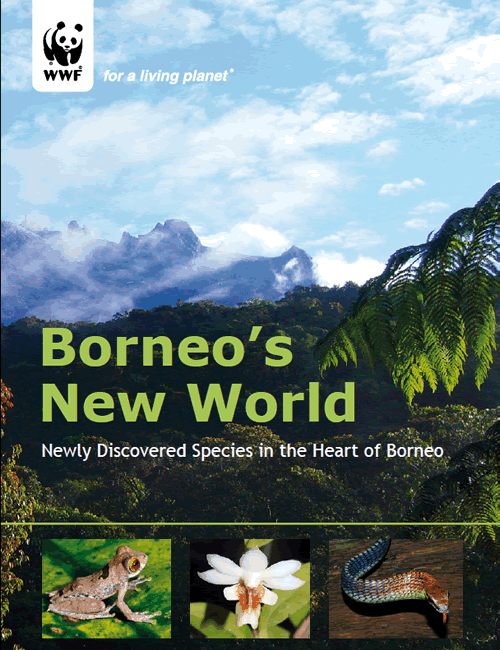 Report: Borneo's New World: Newly Discovered Species in the Heart of Borneo | WWF