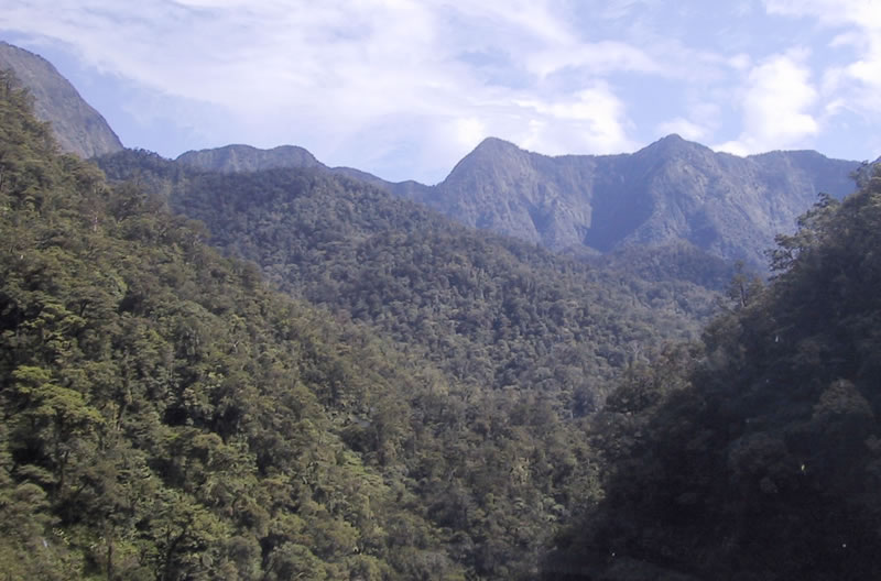 New protected areas for Papua New Guinea | WWF