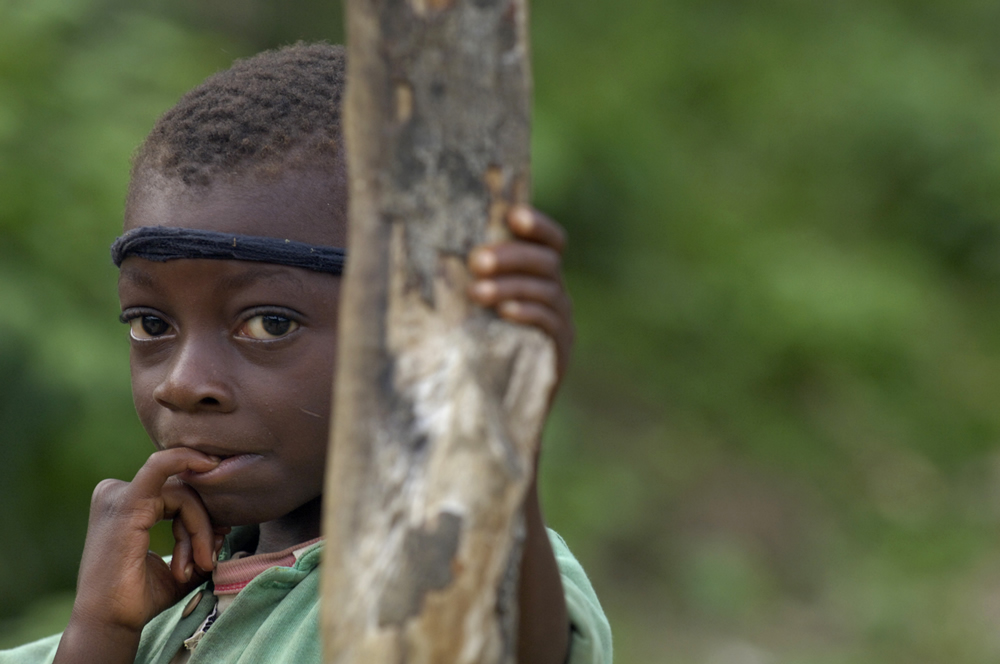 Cameroon: Why a piece of paper is trailing new hope among indigenous ...