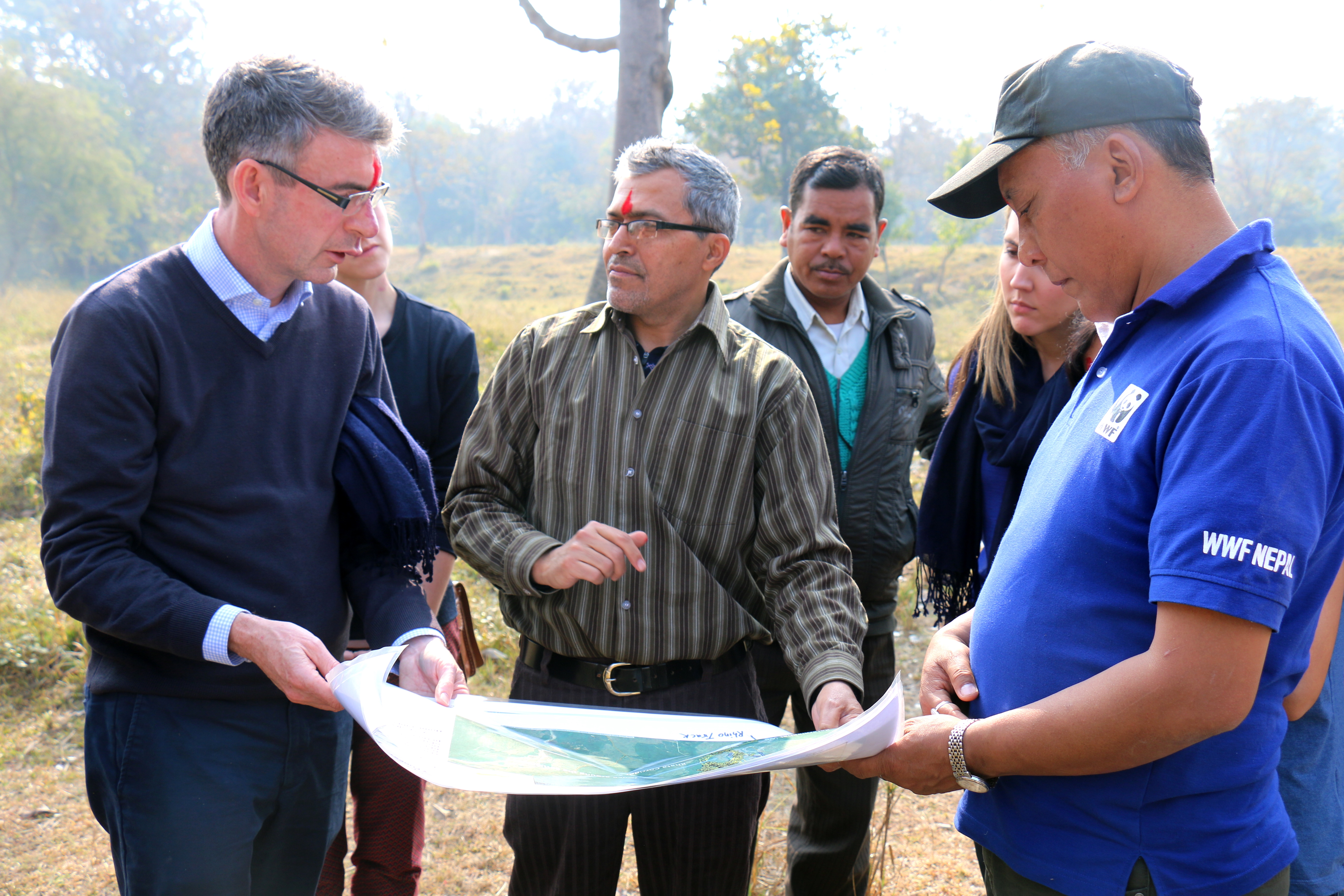 Tiger monitoring underway in Nepal's Western Terai | WWF