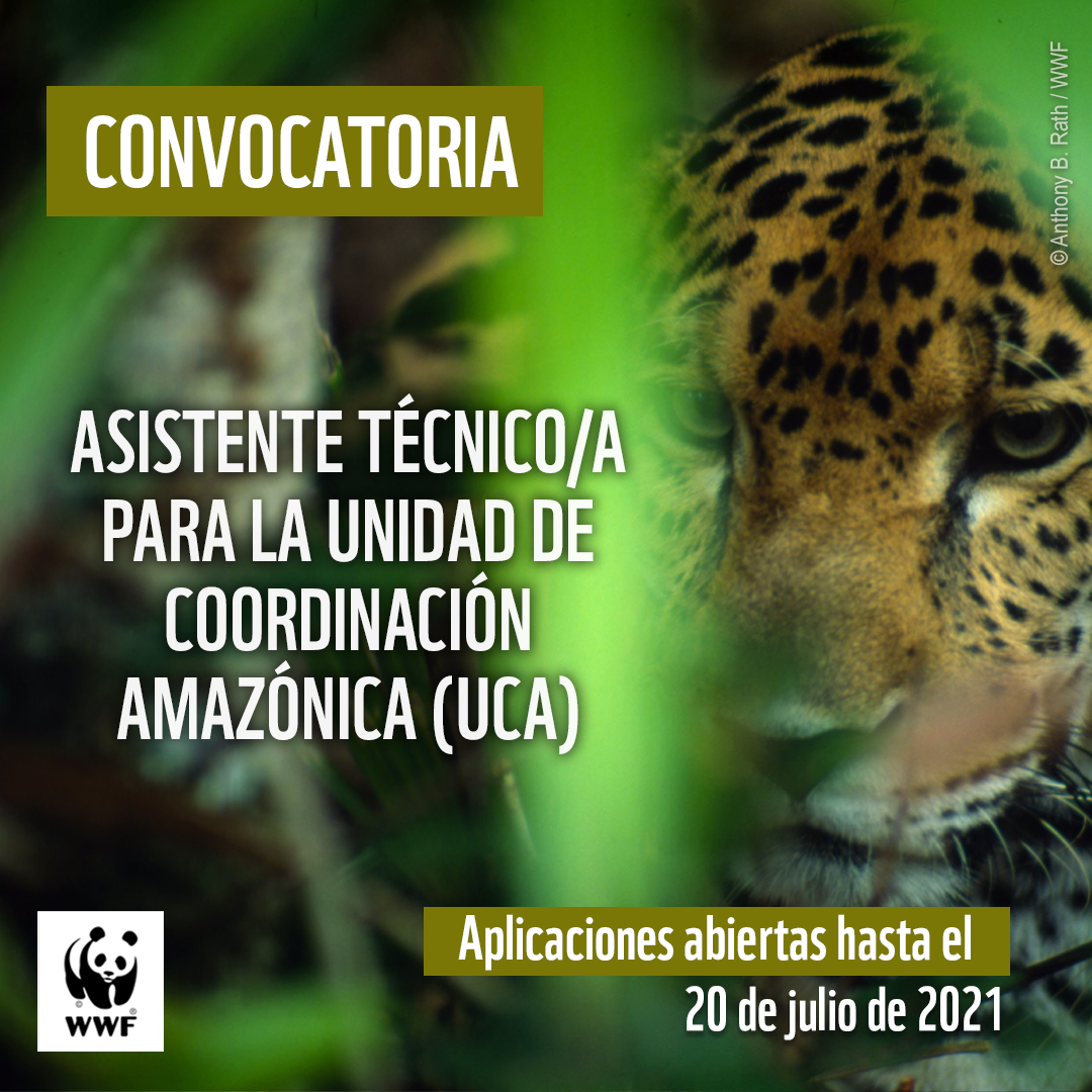 Convocatoria: Asistente técnico Unidad de Coordinación Amazónica (UCA ...