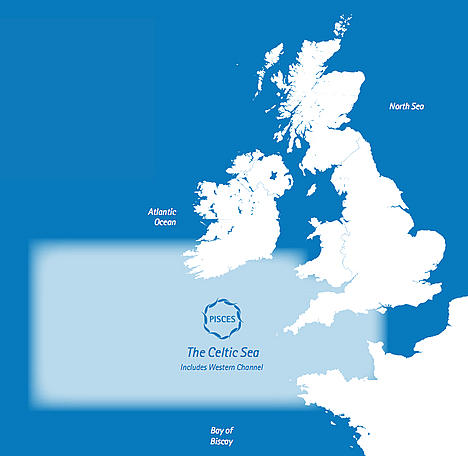 Celtic Sea could be blueprint for sustainable oceans | WWF