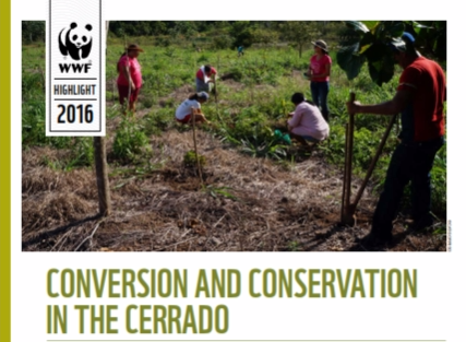 Conversion and conservation in the Cerrado | WWF