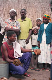 Elephants get a chilli reception | WWF