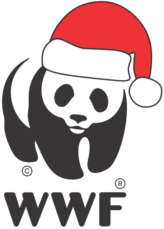 За Коледа купете елха, която можете да отглеждате целогодишно в дома си ...