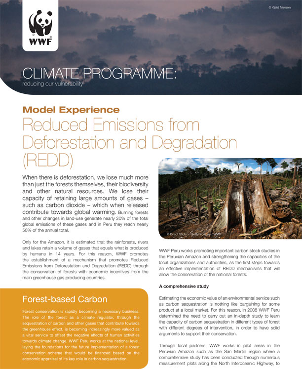 Reduced Emissions from Deforestation and Degradation (REDD) | WWF