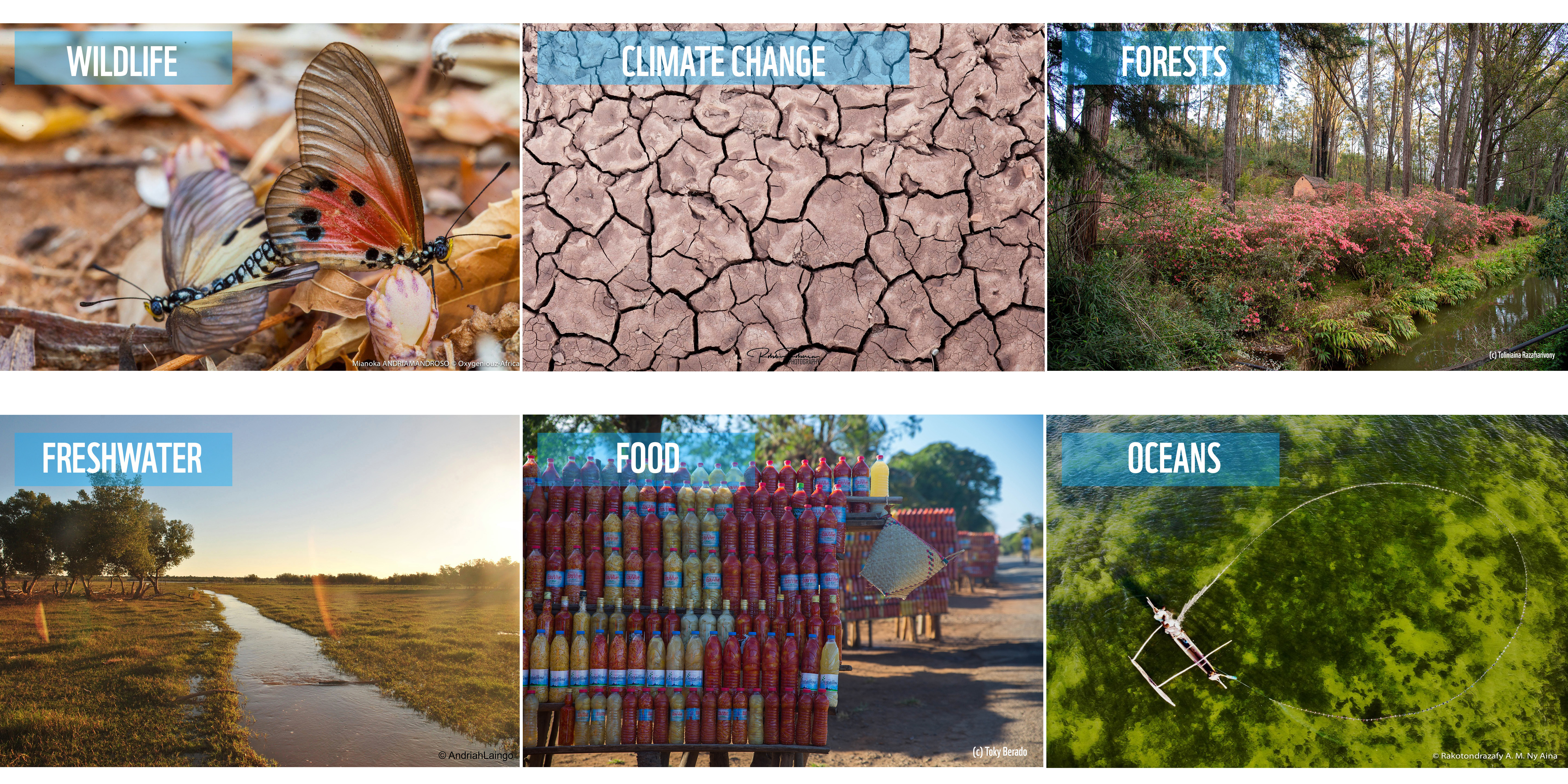 EARTH DAY - Let's Defend our Planet | WWF