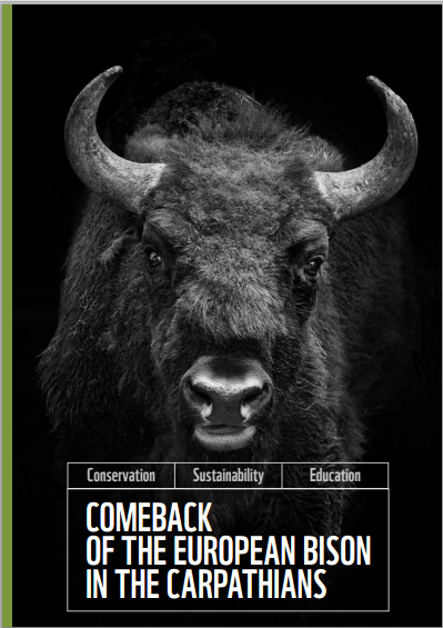 Reintroduction of bison in the Southern Romanian Carpathians continues ...